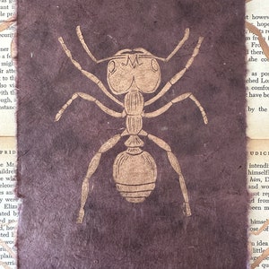 Ant - Hand-carved and Hand-pressed Linocut Print - Etsy