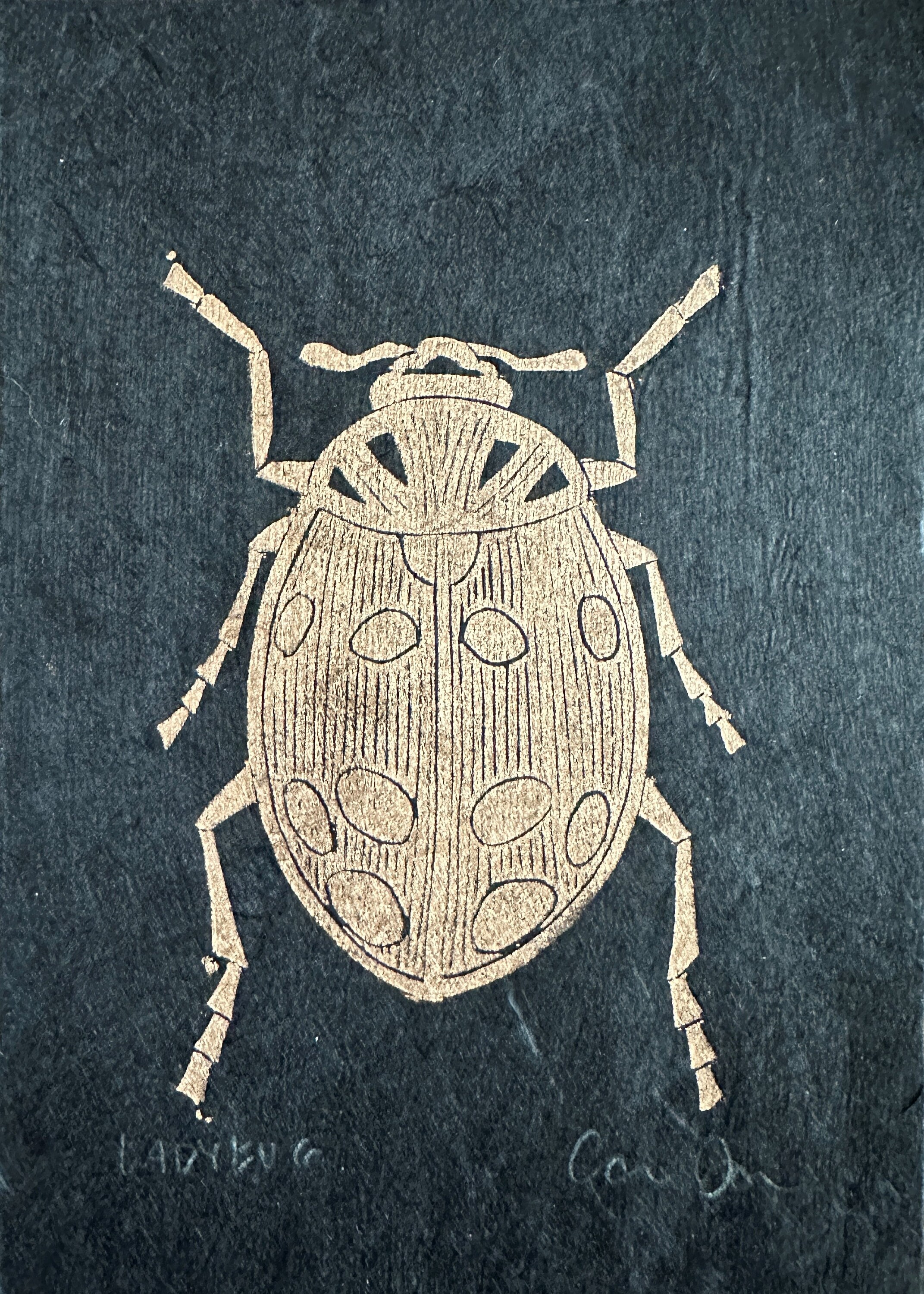 Ladybug- Hand-carved & Hand-pressed Linocut Print - Etsy