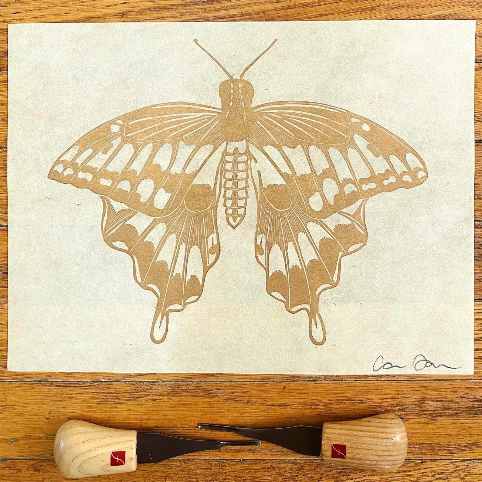 Giant Swallowtail - Hand-carved and Hand-pressed Linocut Print - Etsy