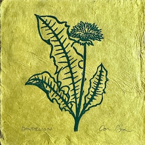 Snail Hand-carved and Hand-pressed Linocut Print - Etsy