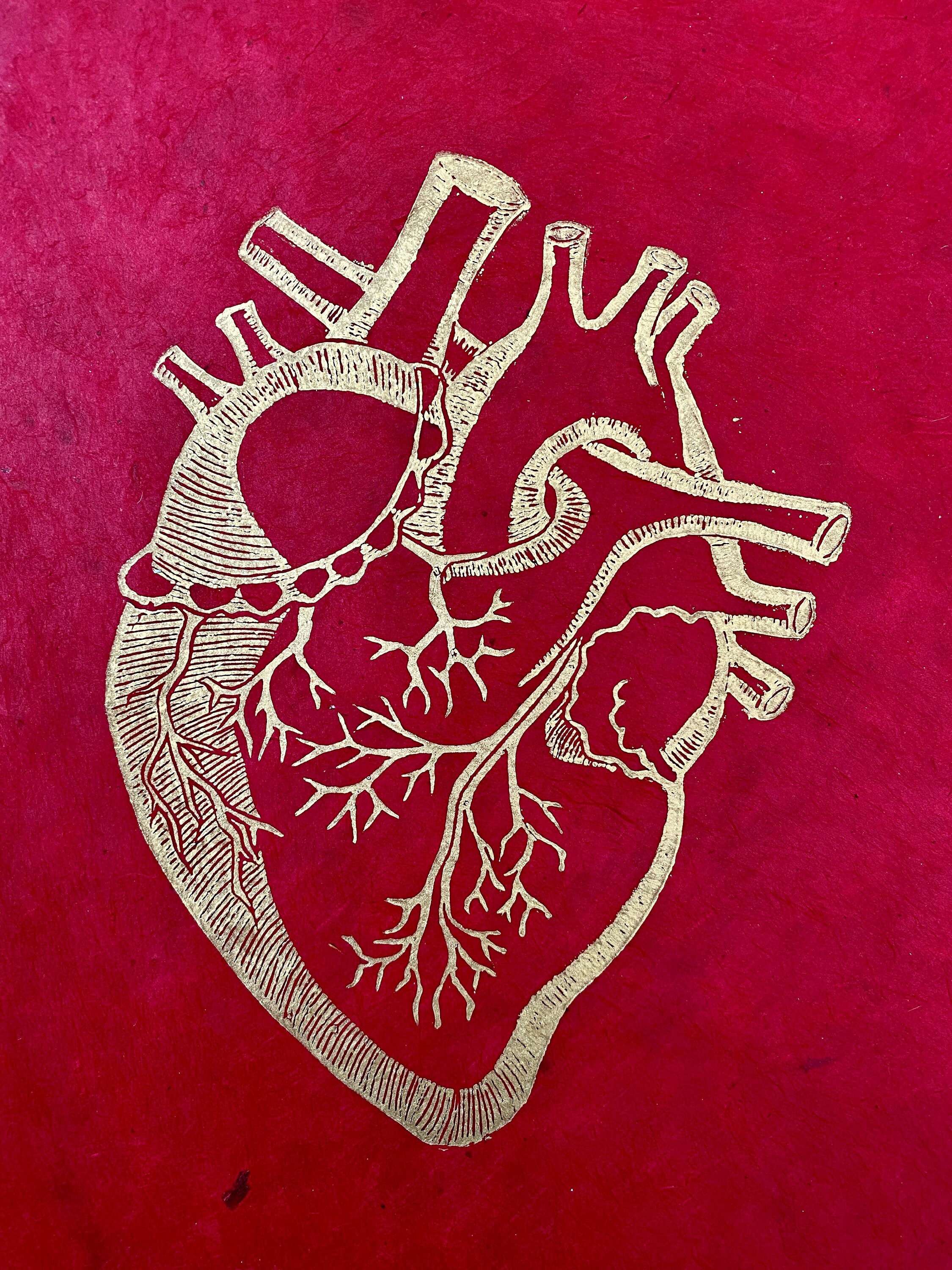 Anatomical Heart Hand-carved & Hand-pressed Linocut Print - Etsy