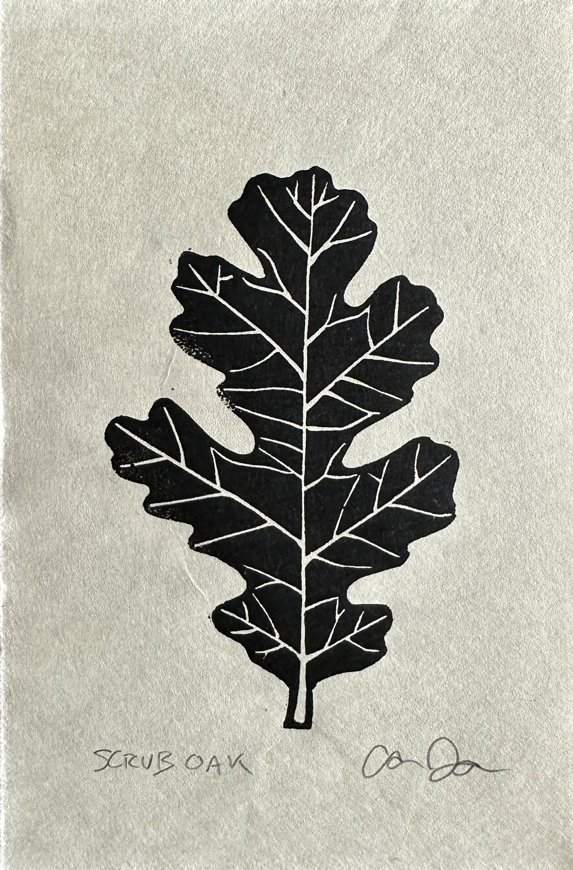 Scrub Oak Leaf - Hand-carved & Hand-pressed Linocut Print - Etsy