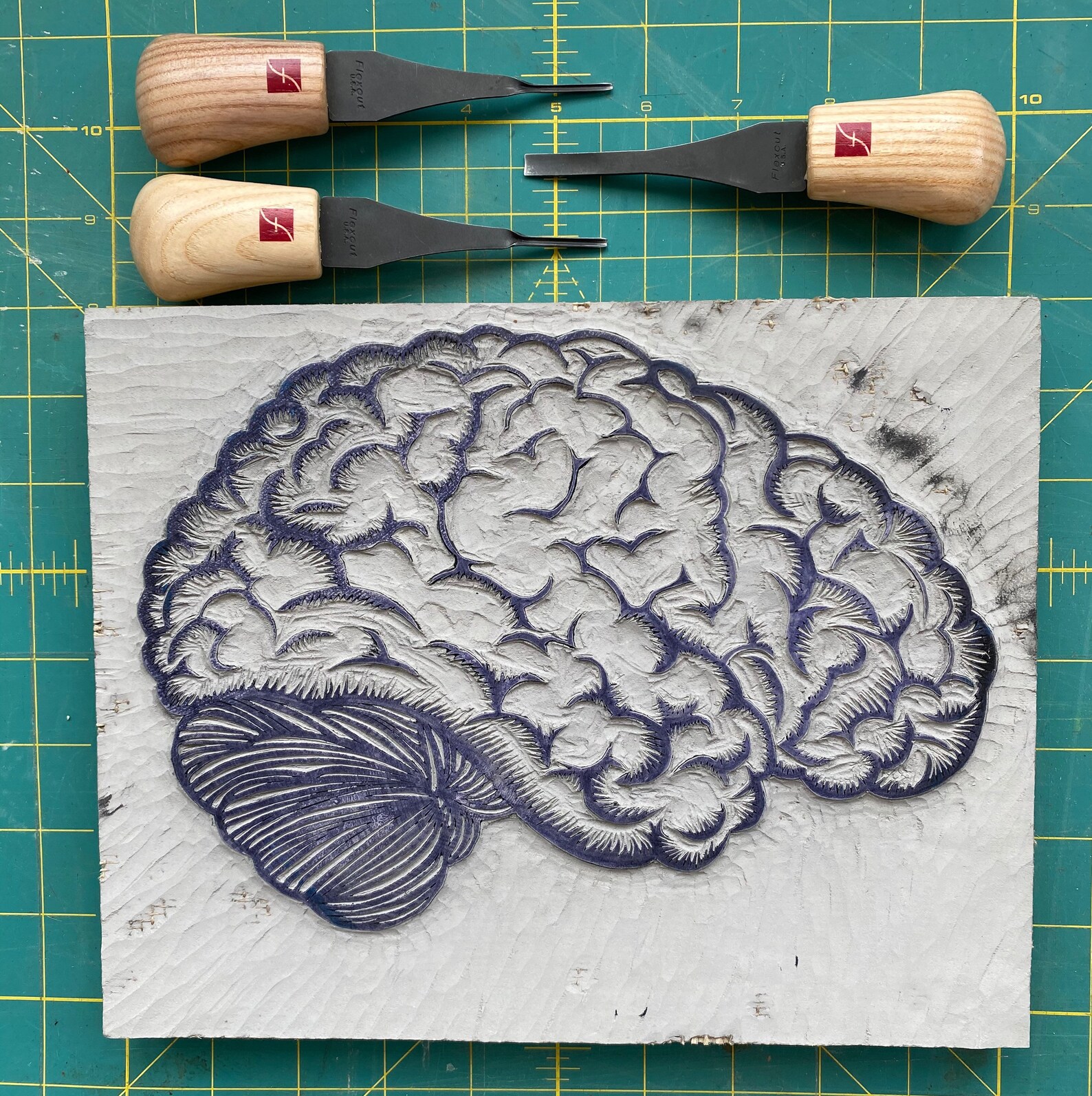 Anatomical Brain - Hand-carved and Hand-pressed Linocut Print - Etsy