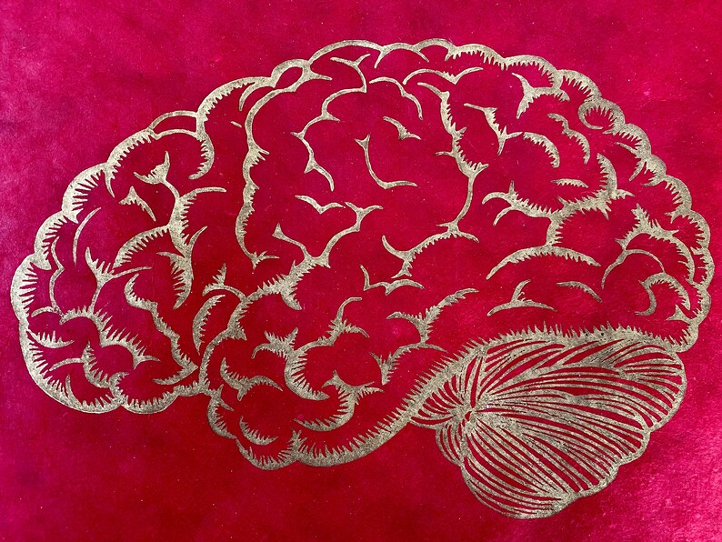 Anatomical Brain - Hand-carved and Hand-pressed Linocut Print - Etsy