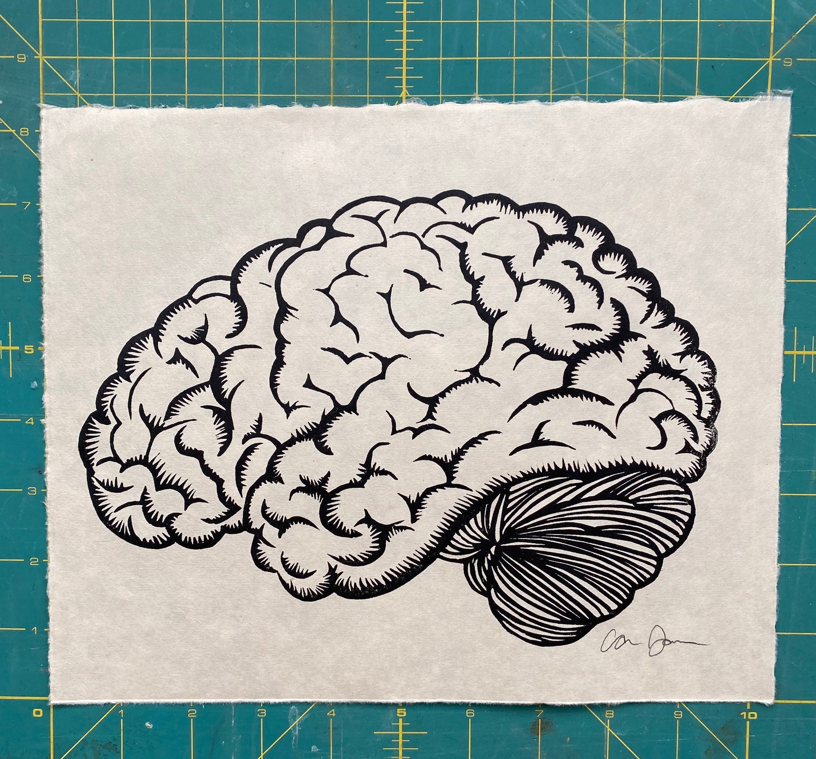 Anatomical Brain - Hand-carved and Hand-pressed Linocut Print - Etsy