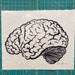 Anatomical Brain - Hand-carved and Hand-pressed Linocut Print - Etsy