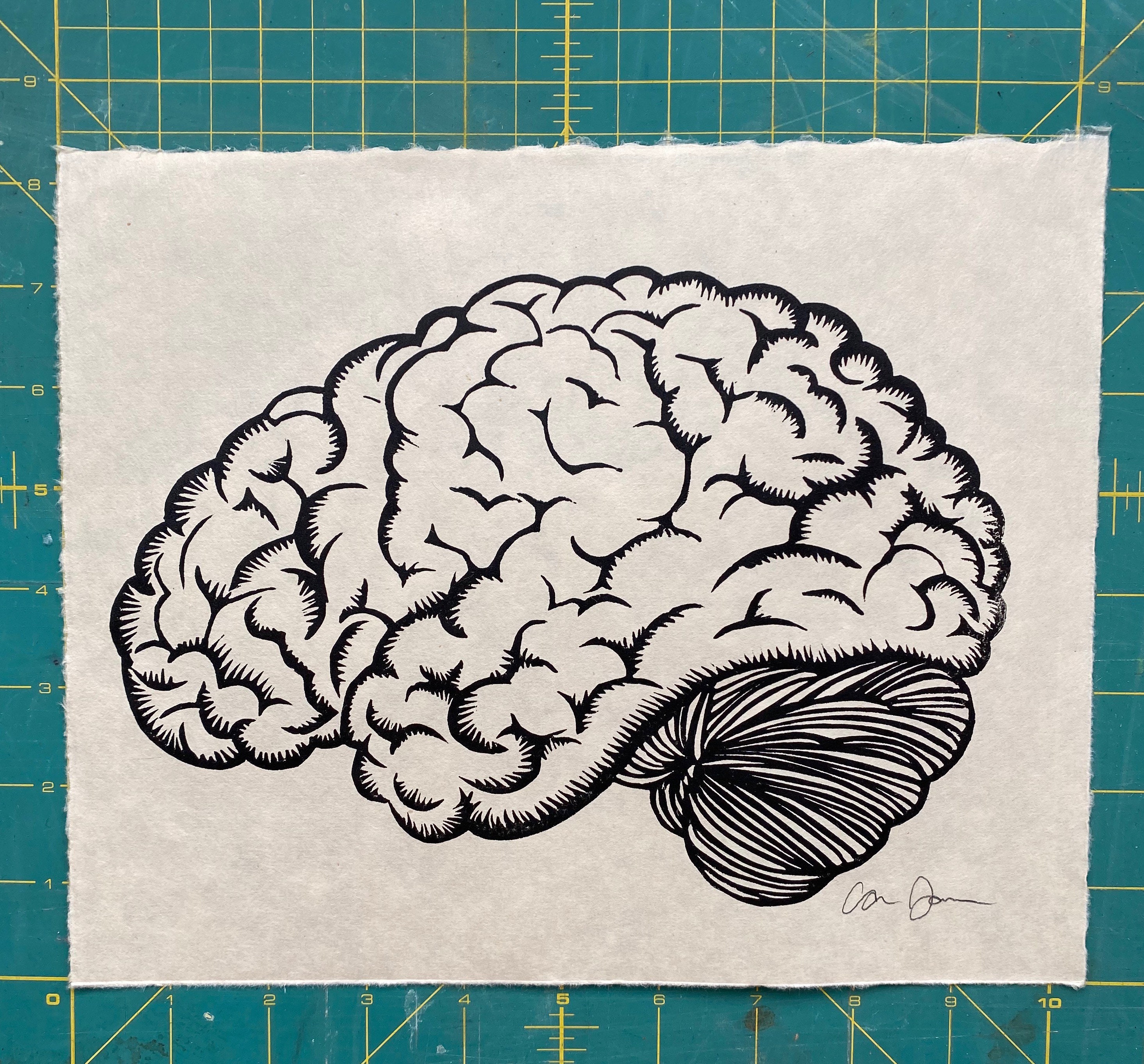 Anatomical Brain - Hand-carved and Hand-pressed Linocut Print - Etsy