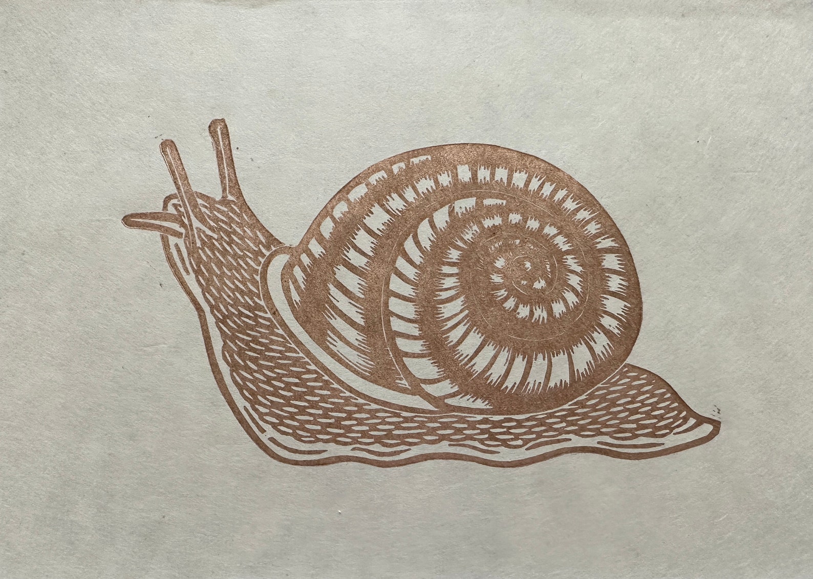 Snail - Hand-carved and Hand-pressed Linocut Print - Etsy