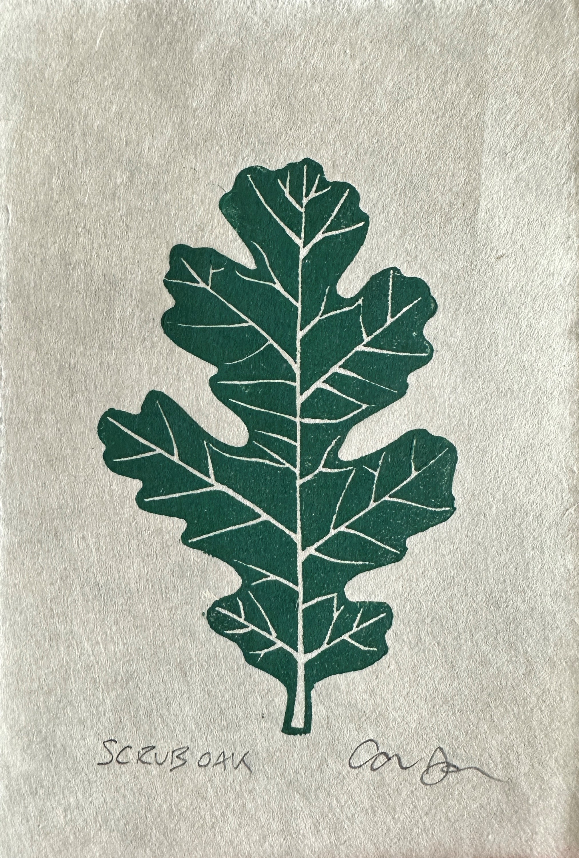 Scrub Oak Leaf - Hand-carved & Hand-pressed Linocut Print - Etsy