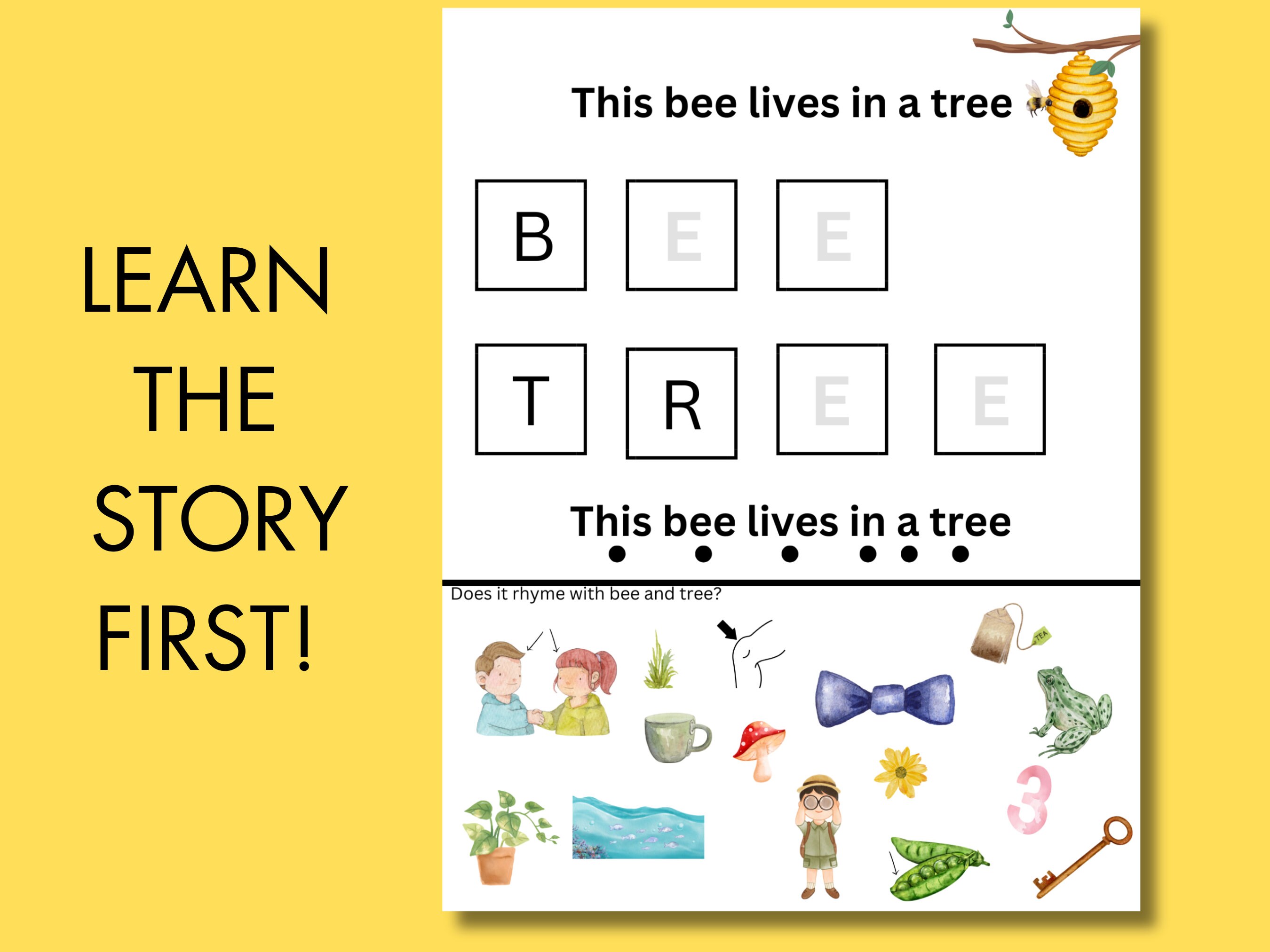 Long E Words Worksheets | Long Vowels | -EE Word Family | Word Families ...