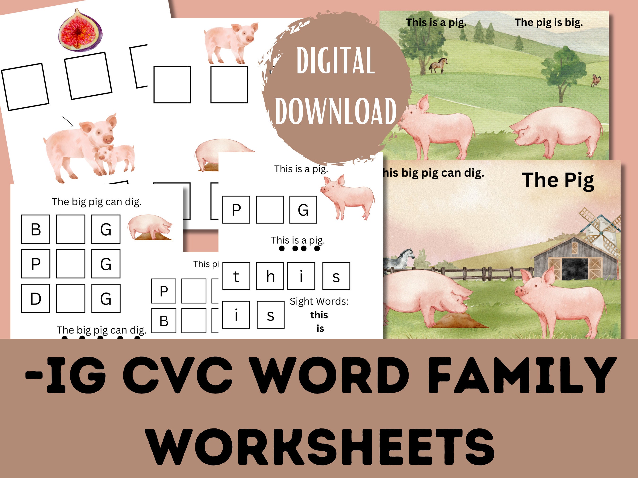 CVC Worksheets | -IG Word Family | CVC Word Family | Short I Words ...