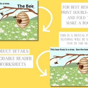 Long E Words Worksheets | Long Vowels | -EE Word Family | Word Families ...