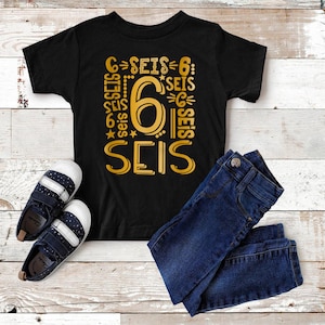 6th Birthday Shirt, Kids Birthday Shirts, Number Six Shirt, Boys 6th ...