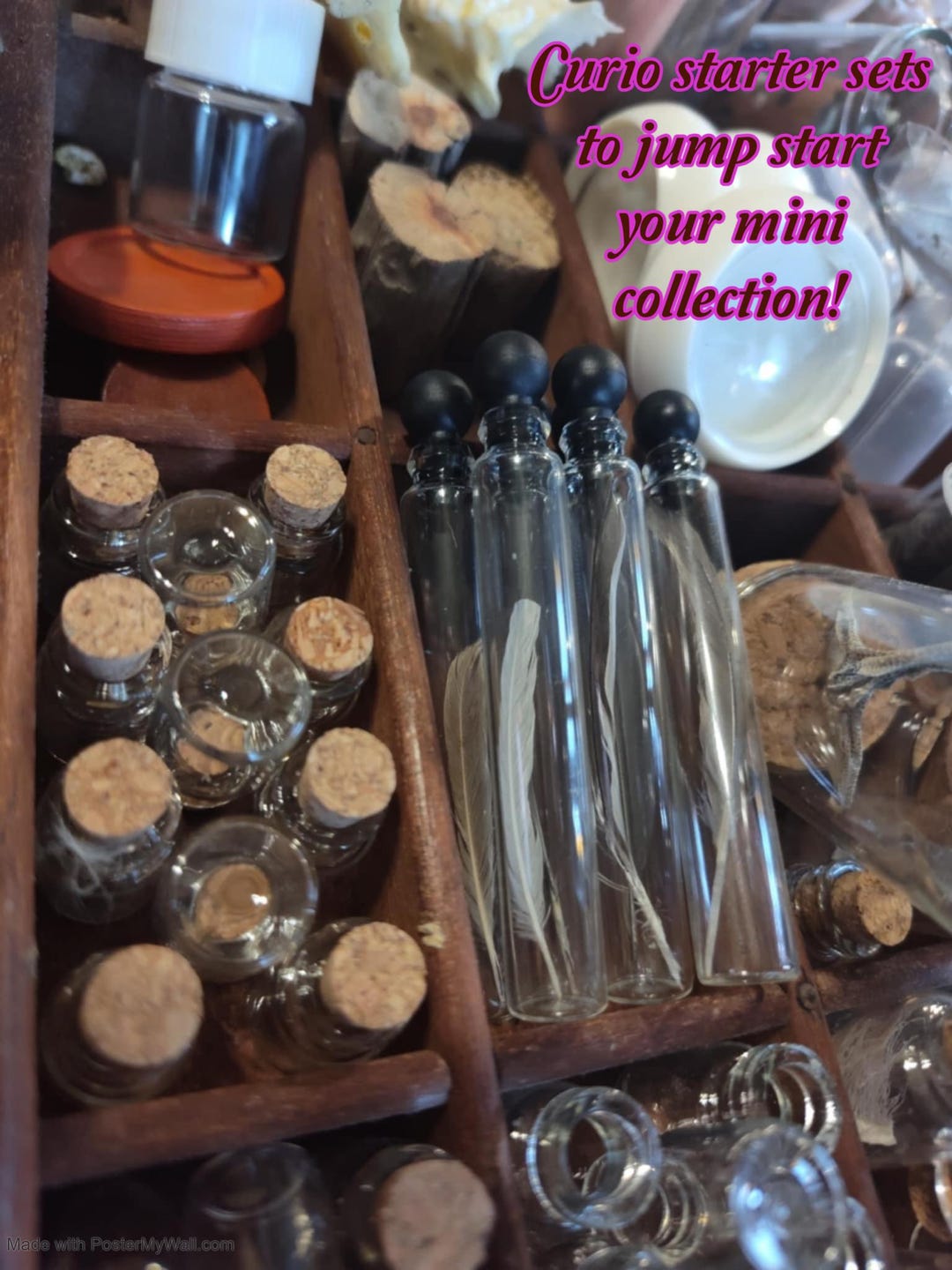 Curio Starter Kit Blind Boxes! - Etsy