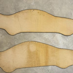 Vintage 2002 Dale Earnhardt 3 / Dale Jr Nascar Rugs 14x46 - Etsy