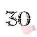 Number 30 Cookie Stencil Birthday Anniversary JB537 - Etsy