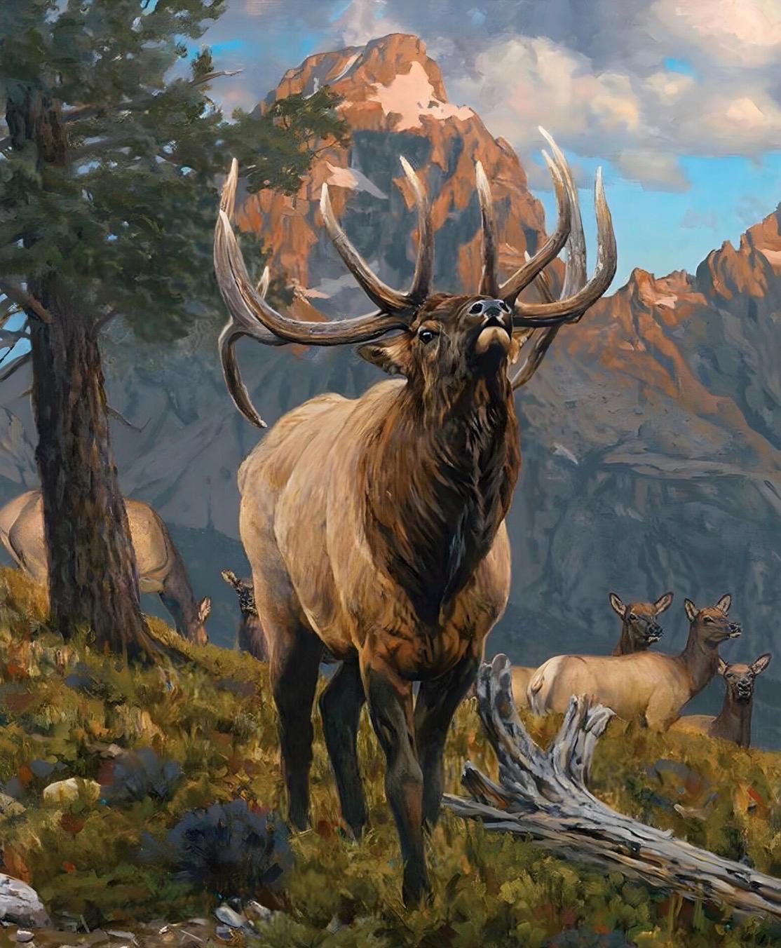Majestic in Nature Grand Elk Panel PD15980 - Riley Blake Designs ...