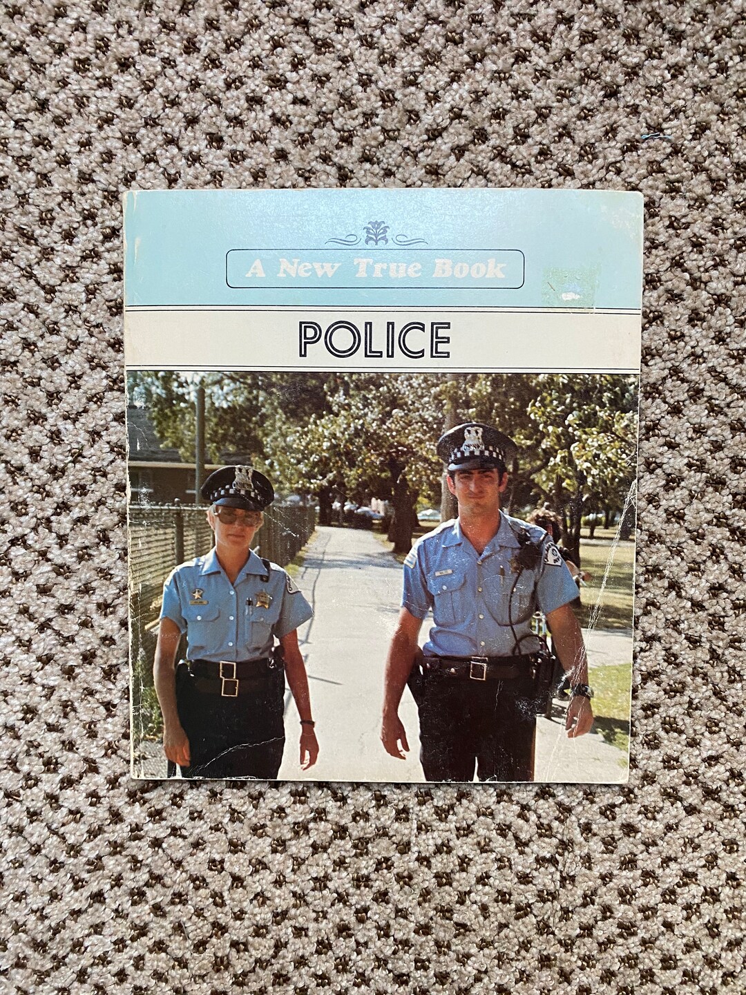 Police - A New True Book - Etsy