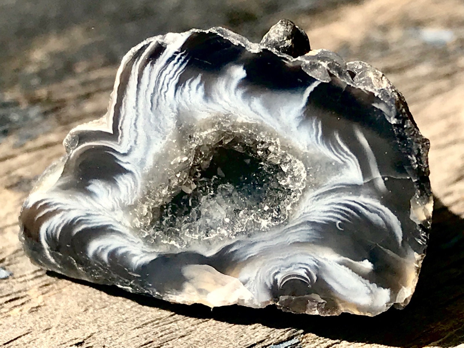 Thunder Eggs for sale | Only 4 left at -75%