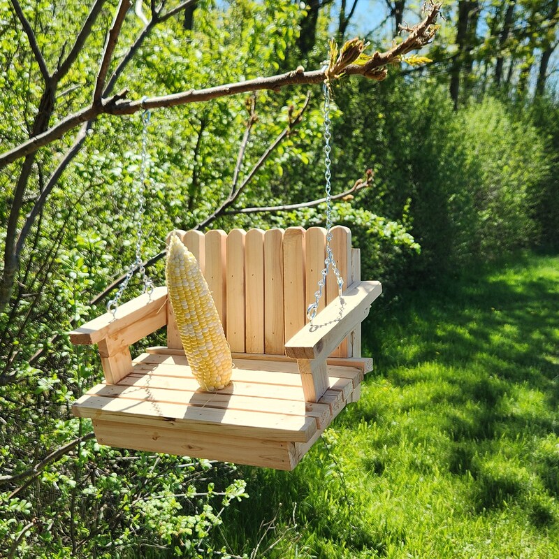 Squirrel Feeder - Etsy