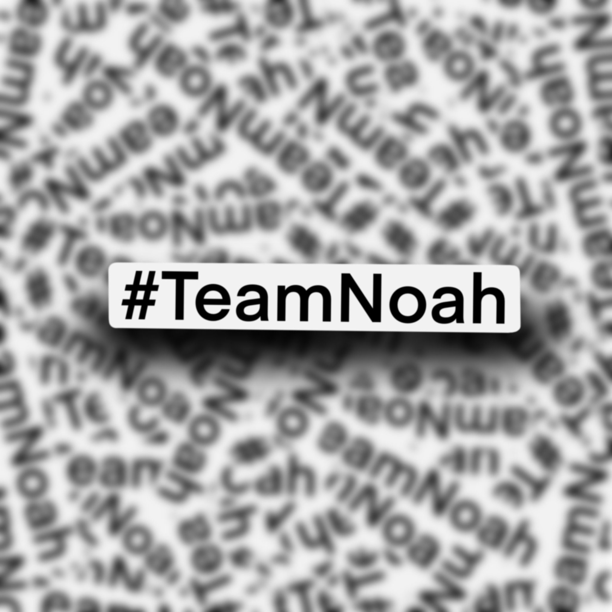 Team Noah Sticker Pack | Etsy