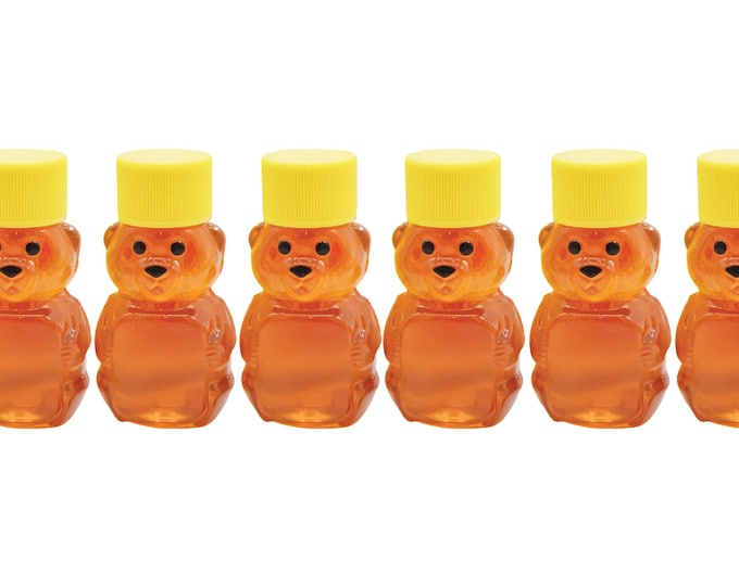 Honey, 15 Mini Honey Bears, Custom Honey Bears, Pure Raw FL Honey ...