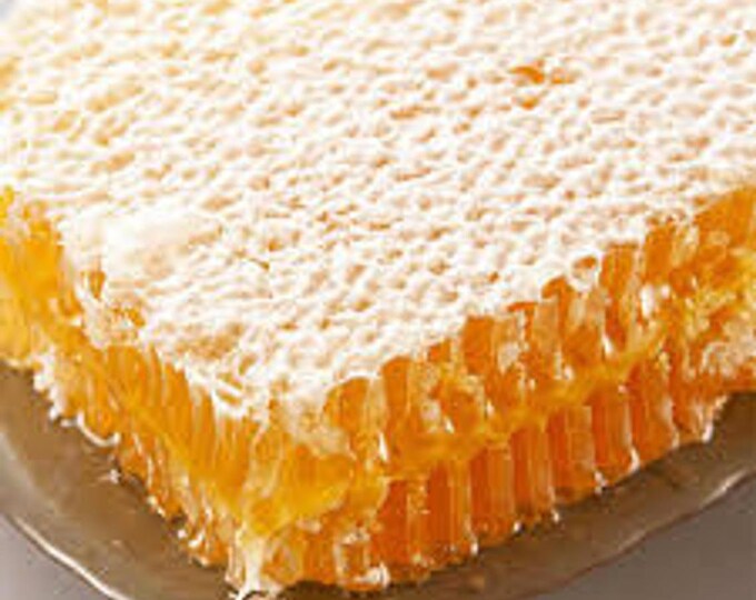 Raw Honey Comb Container 8-10 Oz. Natures Gum Honeycomb All Natural - Etsy