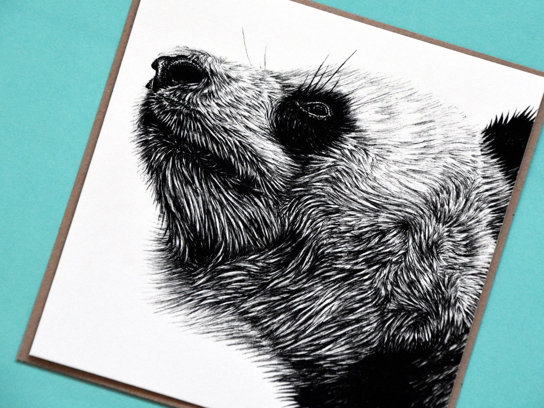 Giant Panda Bear - Square Blank Animal Greetings Card - Art Wild ...