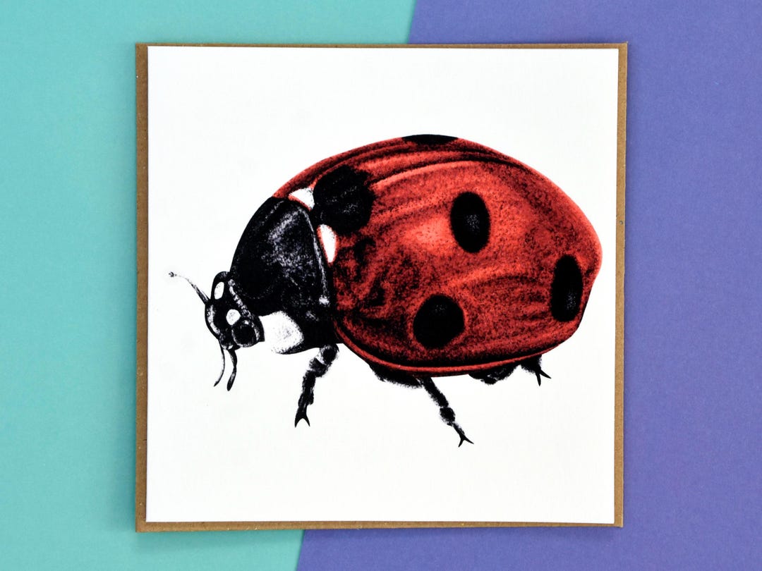 Ladybird Fine Art Greetings Card - Square Blank Birthday Card - Seven ...