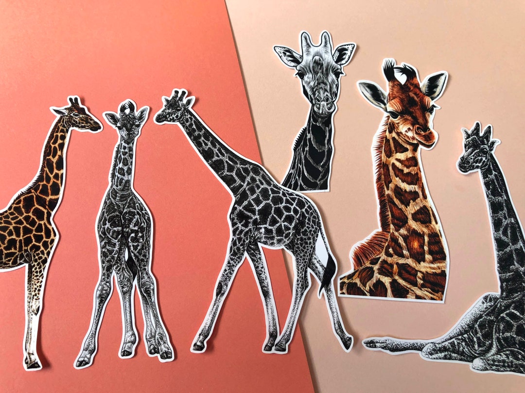 Giraffe Illustration Sticker Set - Pack of 6 Vinyl Stickers - Giraffes ...