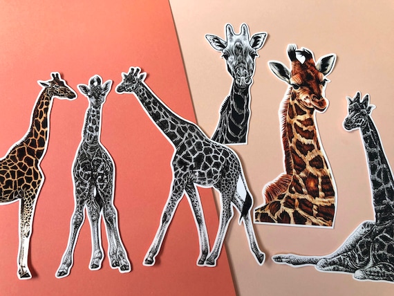 Giraffe Illustration Sticker Set Pack of 6 Vinyl Stickers - Etsy
