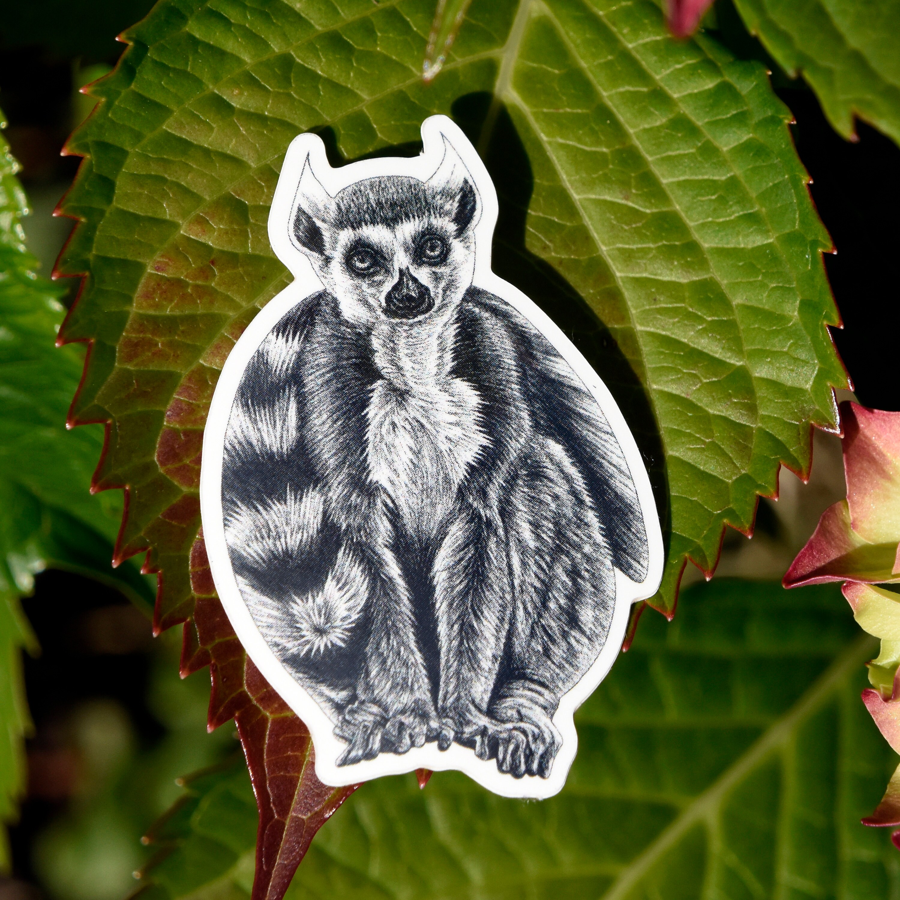 Animal Sticker Set Pack of Three Stickers Penguin Meerkat - Etsy