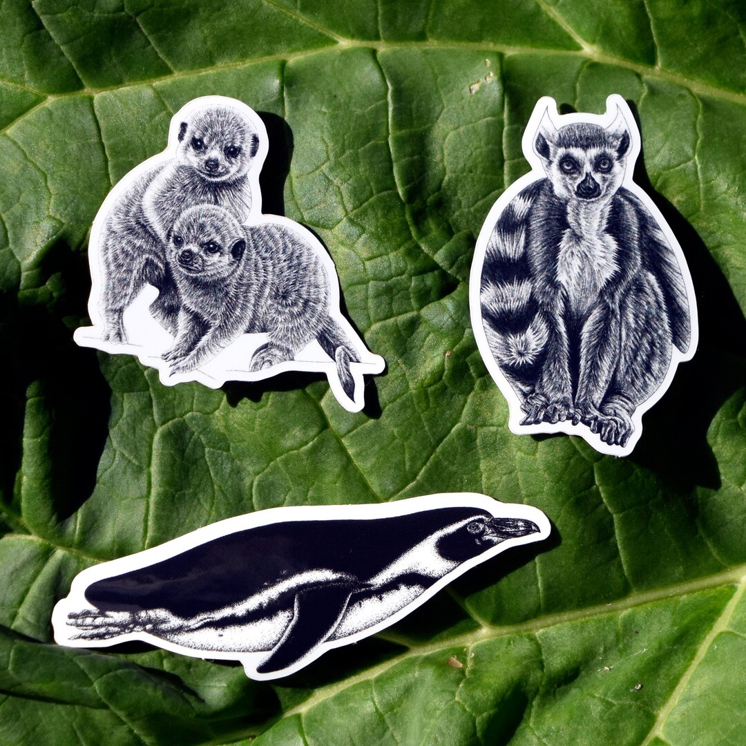 Animal Sticker Set - Pack of Three Stickers - Penguin Meerkat Lemur - Etsy