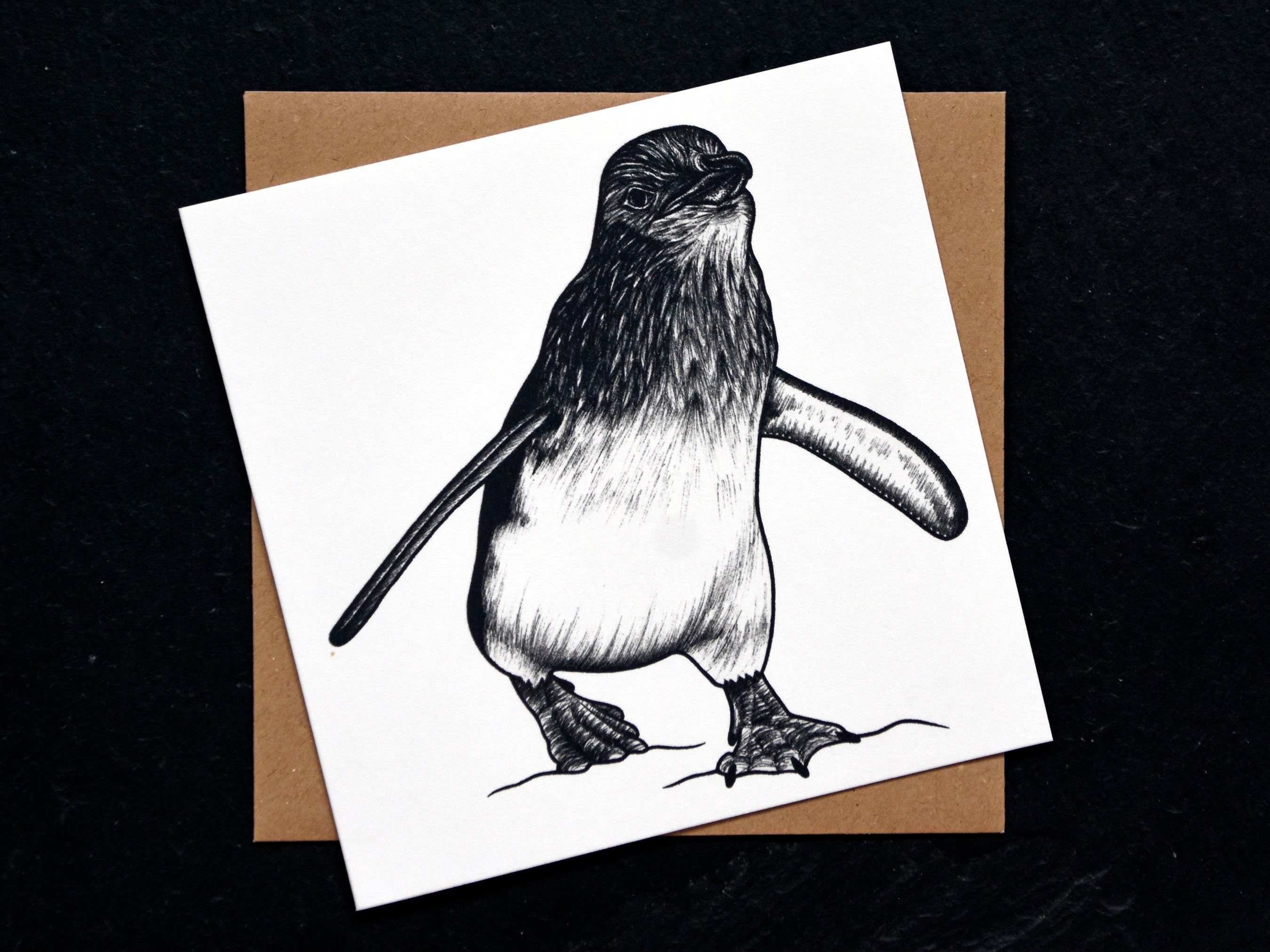 Little Penguin - Square Fine Art Blank Animal Greetings Card - Cute ...
