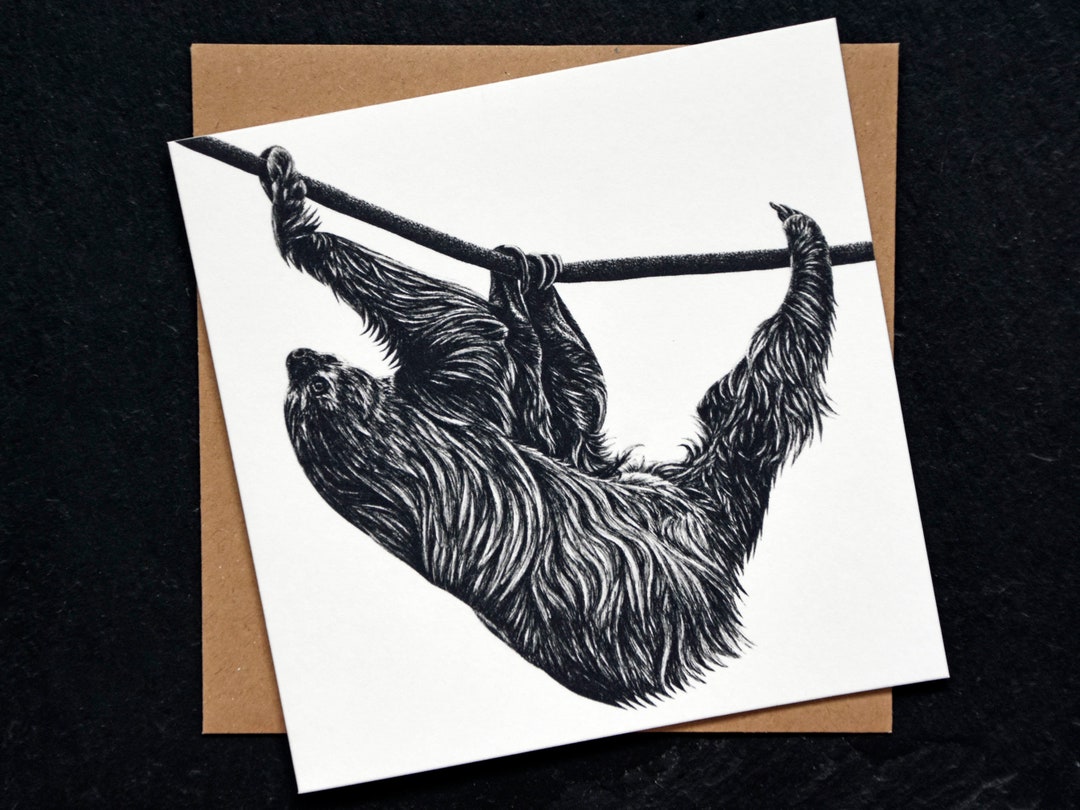 Linnaeus's Two-toed Sloth - Square Fine Art Blank Animal Greetings Card ...