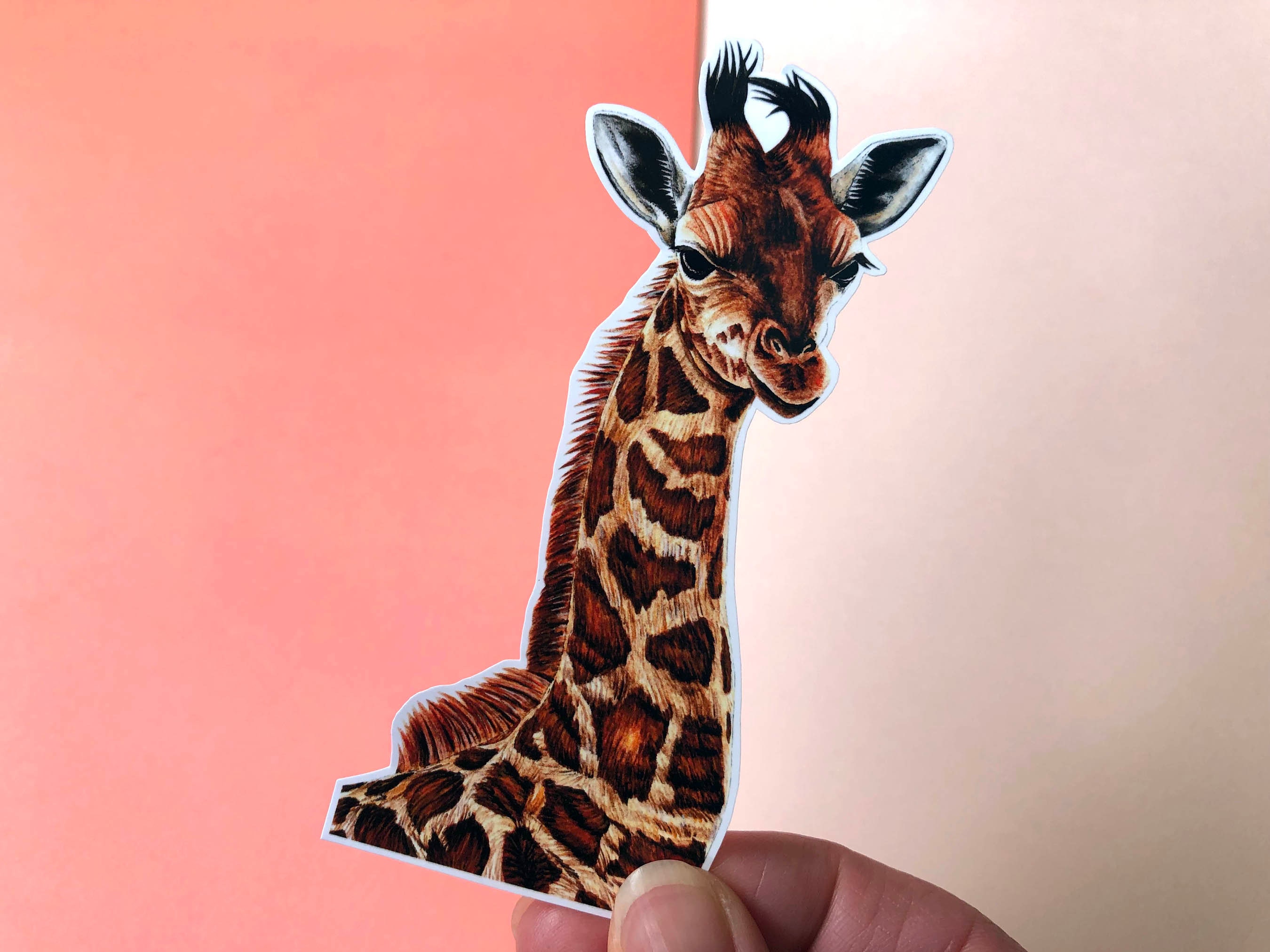 Giraffe Illustration Sticker Set Pack of 6 Vinyl Stickers Giraffes ...