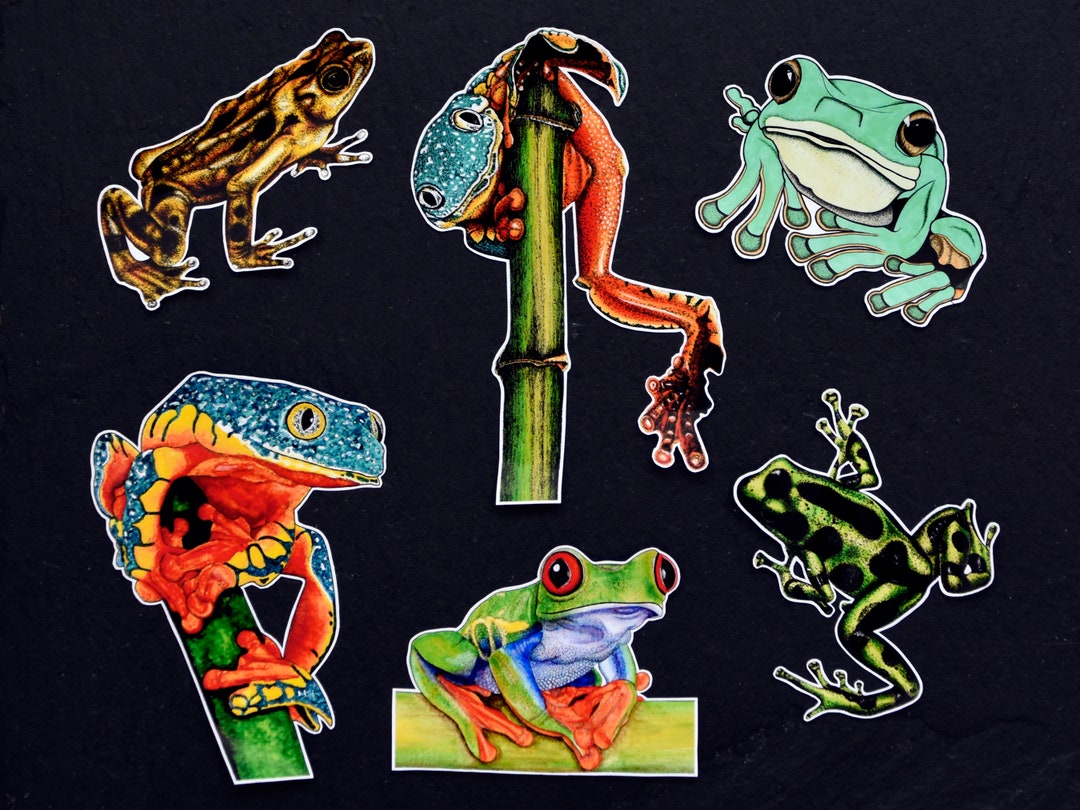 Frog Illustration Sticker Set - Pack of 6 Vinyl Stickers - Tropical ...
