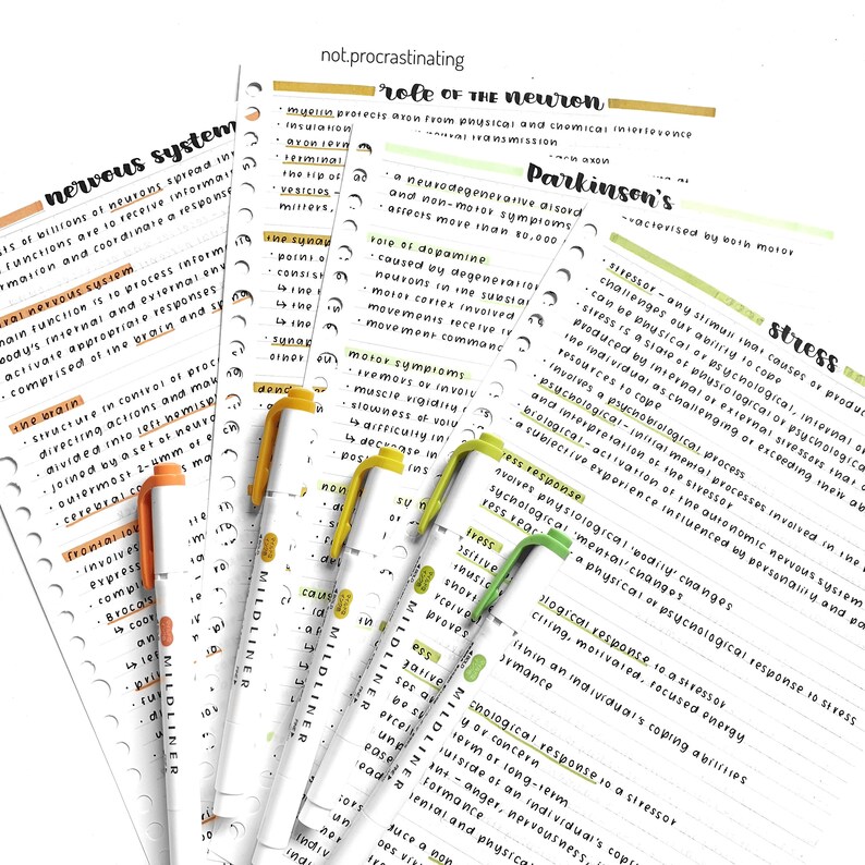 Brain and Nervous System Notes - Etsy