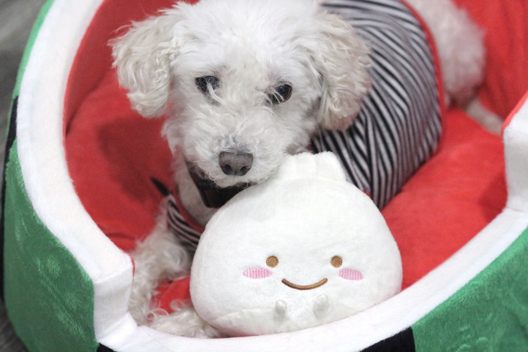 Cute Xiao Long Bao Dog Toy With Squeaker | Cute Kawaii Chinese Dumpling ...