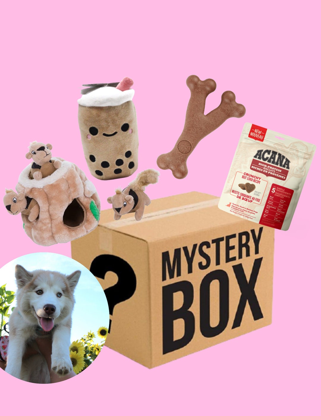 Dog Mystery Box Cute Squeak Dog Toys Dog Accessories Dog Plush Toy ...