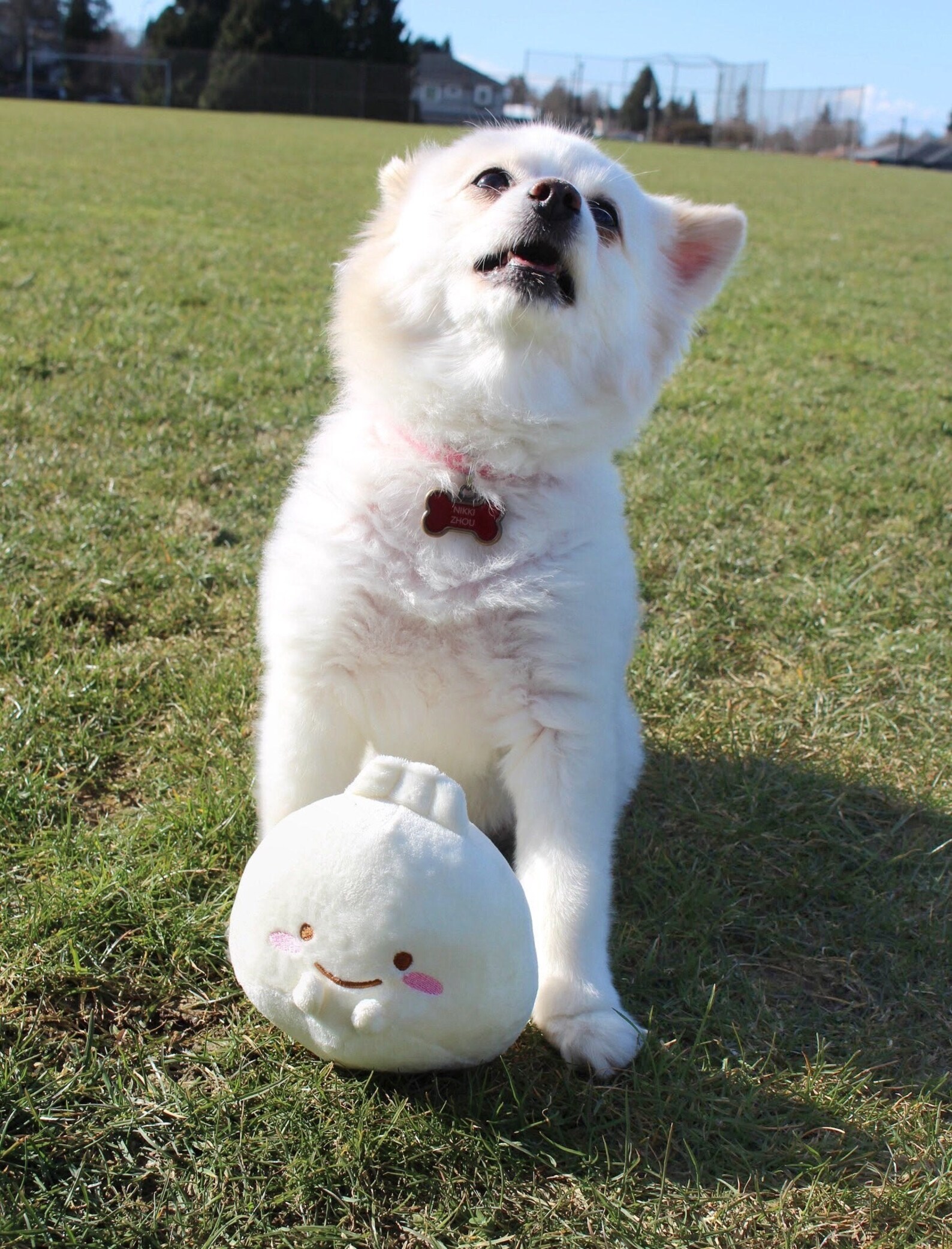 Cute Xiao Long Bao Dog Toy With Squeaker | Cute Kawaii Chinese Dumpling ...