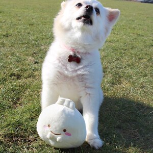 Cute Xiao Long Bao Dog Toy With Squeaker | Cute Kawaii Chinese Dumpling ...