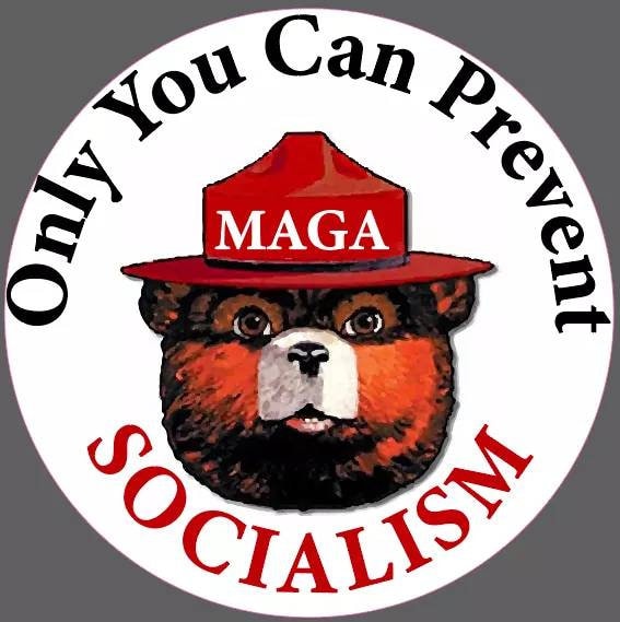 Only You Can Prevent Socialism MAGA Bumper Sticker | Etsy