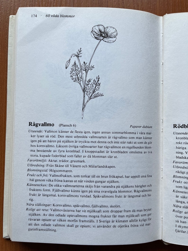 1974 Swedish Vintage Botanical Reference Book Plants Flowers ...