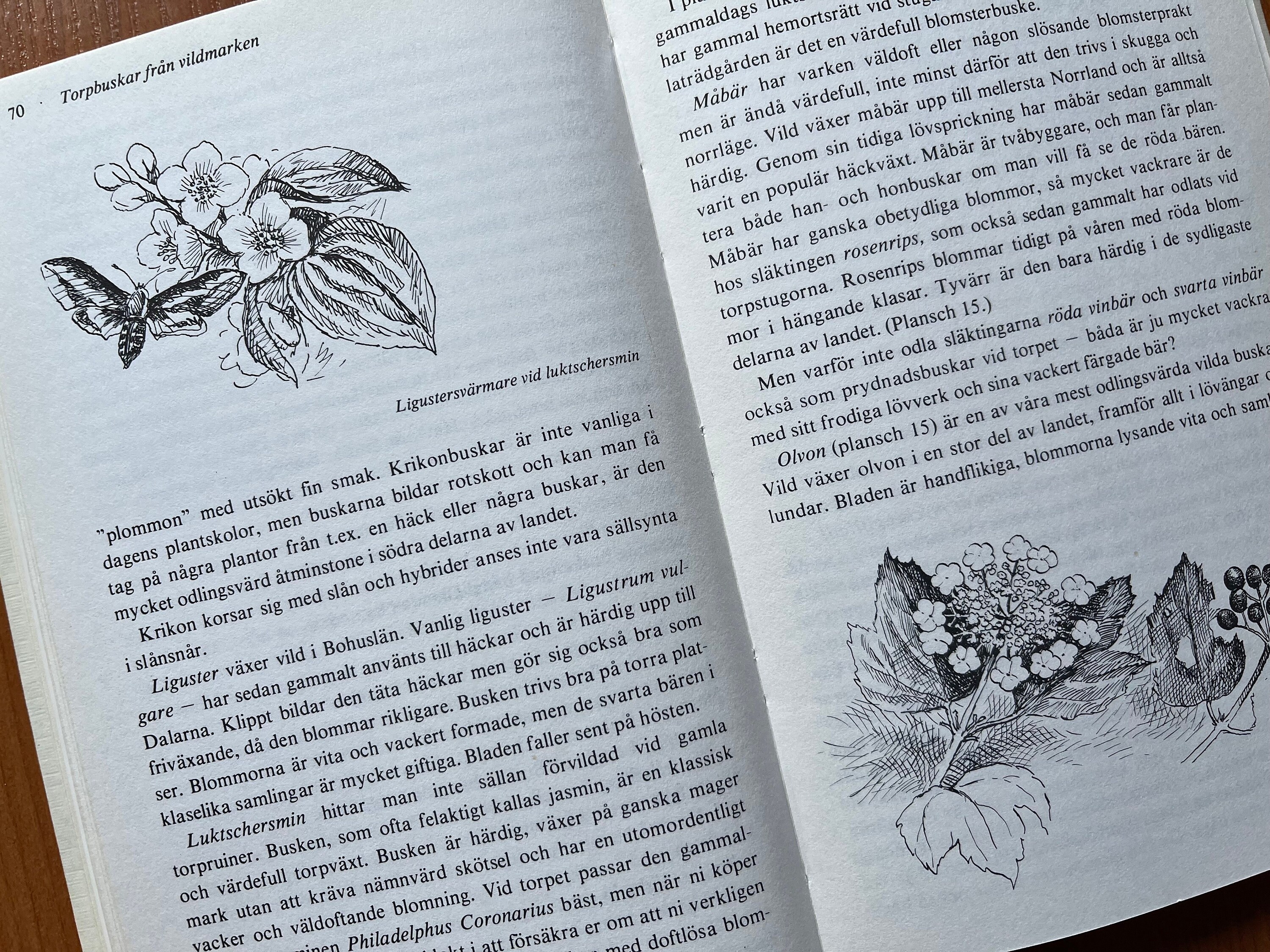 1974 Swedish Vintage Botanical Reference Book Plants Flowers ...