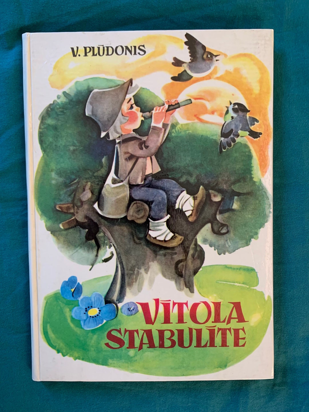 1981 Latvian Children Verses Book by Vilis Plūdonis Illustrations by ...