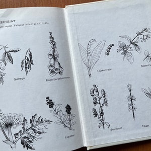 1974 Swedish Vintage Botanical Reference Book Plants Flowers ...