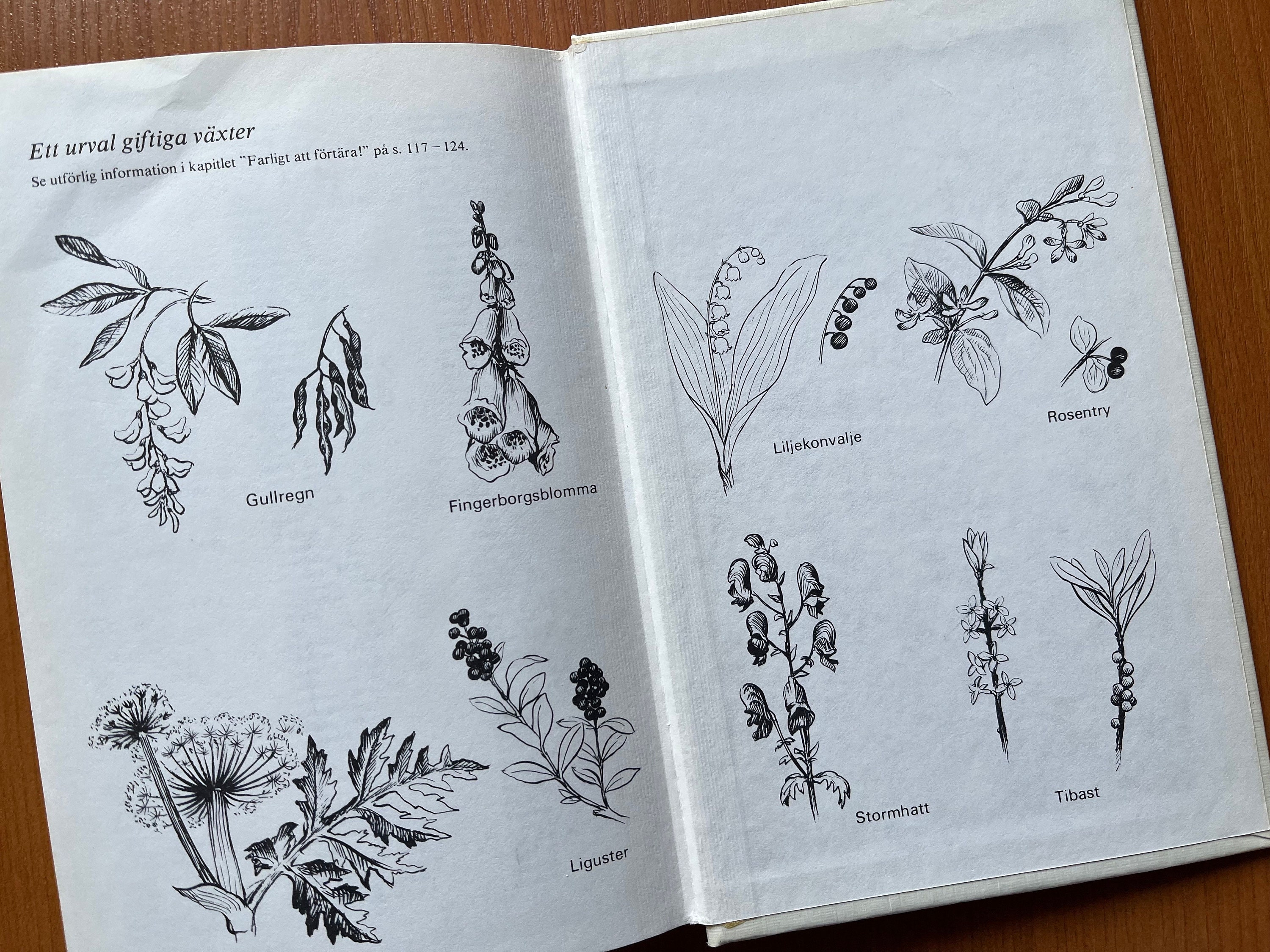 1974 Swedish Vintage Botanical Reference Book Plants Flowers ...