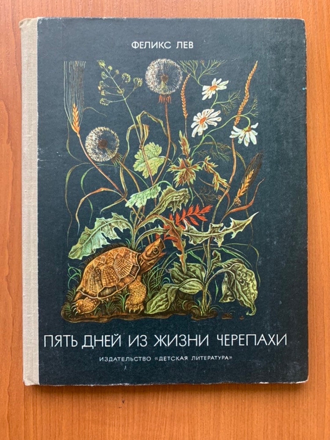 1980 Feliks Lev Russian Vintage Children's Book: Nature Stories - Etsy