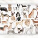 Dog Breeds 2019 MacBook Pro 16 Pets Owner Gift Mac Air 13 - Etsy